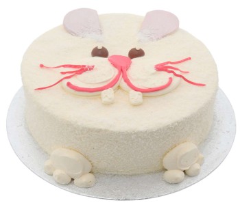 Animal Face Cakes Online | Red Robin Bakery